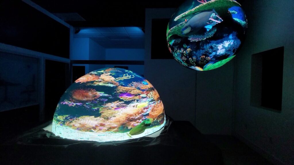 6' Digital Hemispheres - Screen Solutions International - Holographic - LED Spheres Walls Floors