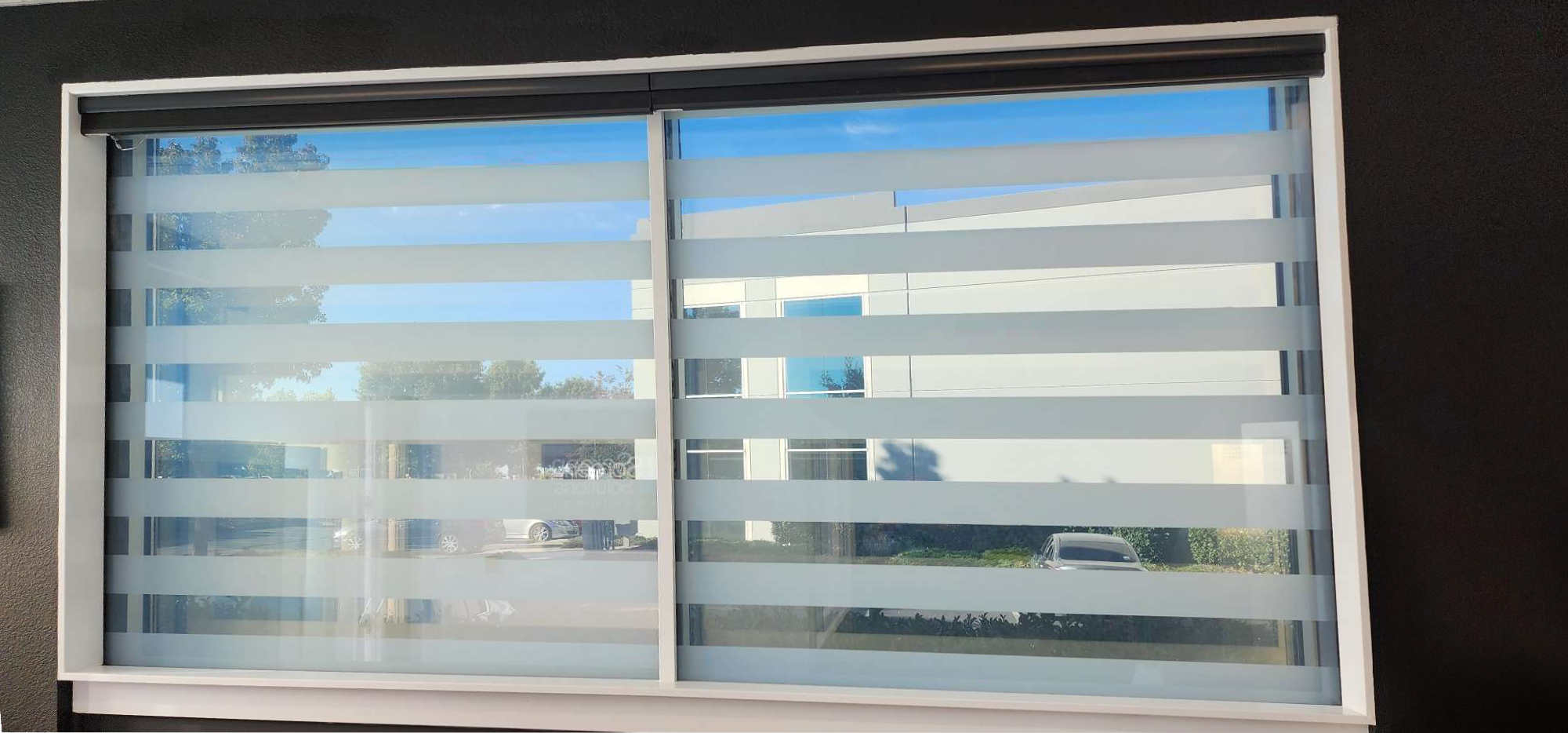 Transform Your Space with Electric Glass Solutions