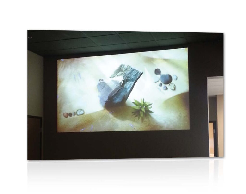 Reflection Front Projection - Screen Solutions International ...